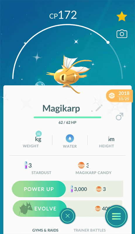 Shiny Magikarp