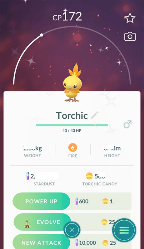 Shiny Torchic Pokemon X